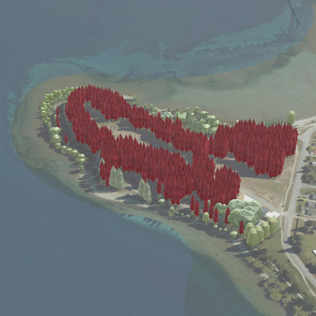 Eely Point Tree Succession Plan | Let’s Talk Queenstown Lakes District Council